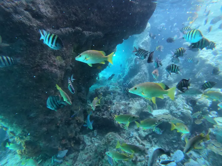 10 Things to Do in the Exumas - The Wanderlust Effect